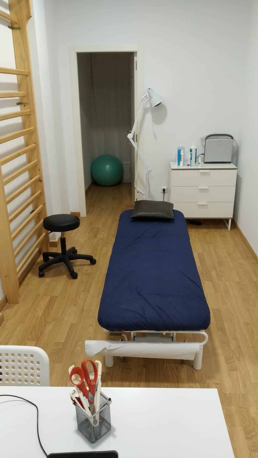 Fisioterapia Palacios